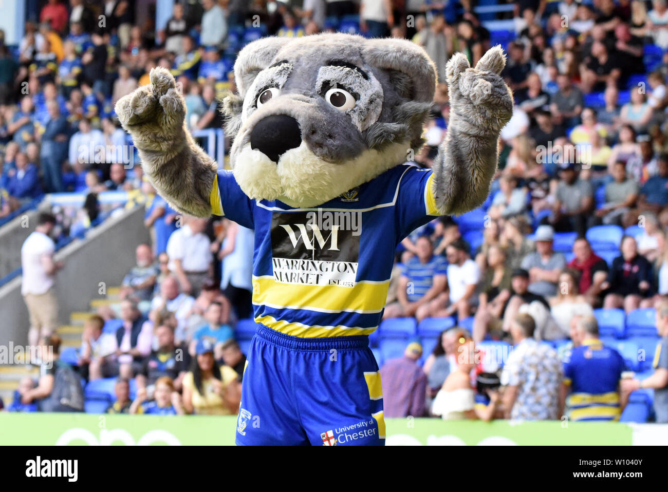 Wolves mascot hi-res stock photography and images - Alamy