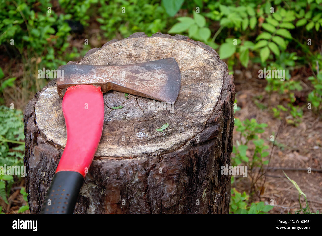 The old ax lies on the stump of a felled tree, the problem of ecology ...