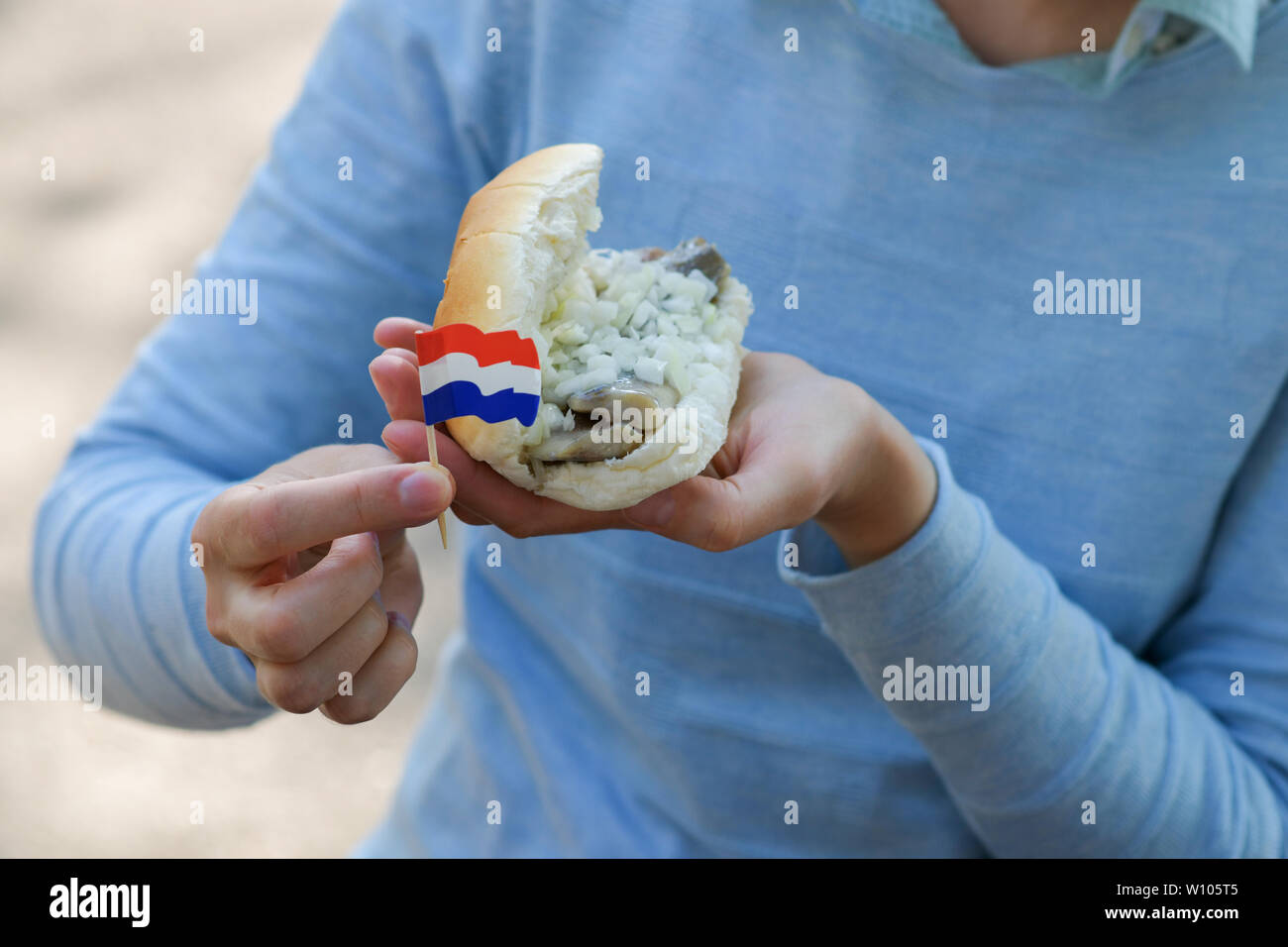 Traditional dutch sandwich and bow with herring in a hands Stock Photo ...