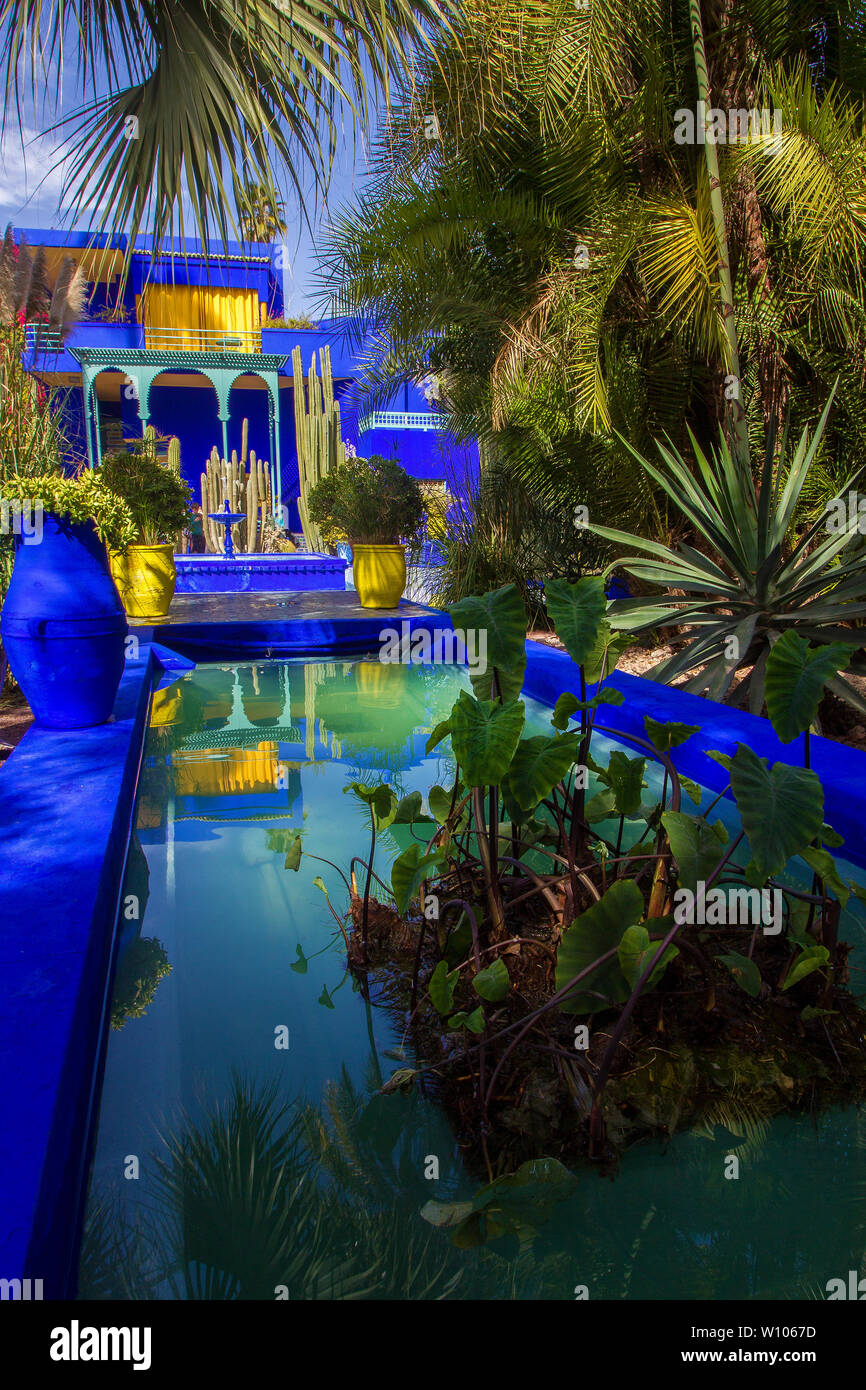 Majorelle garden in Morocco, famous blue majorelle color Stock Photo ...