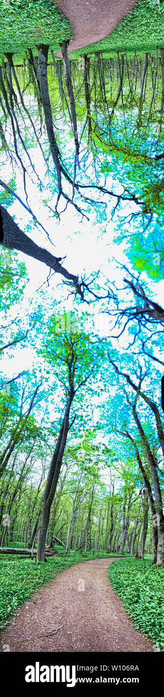 Munk Meadows Nature Reserve in the Lidkoping area Stock Photo - Alamy