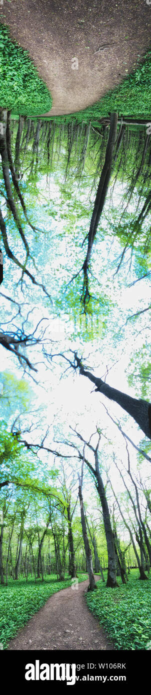 Munk Meadows Nature Reserve in the Lidkoping area Stock Photo - Alamy