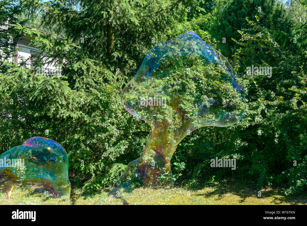 Fun with bubbles in the garden. Sunny day and shimmering soap bubbles ...