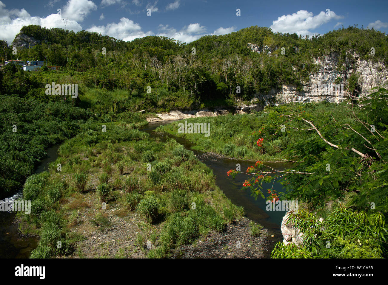 Manati river hi-res stock photography and images - Alamy