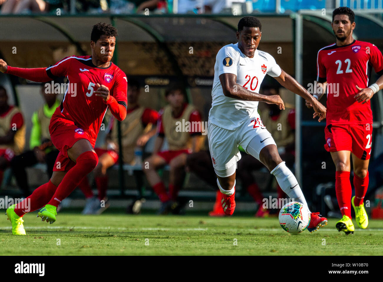 2019 365 jpg hi-res stock photography and images - Alamy