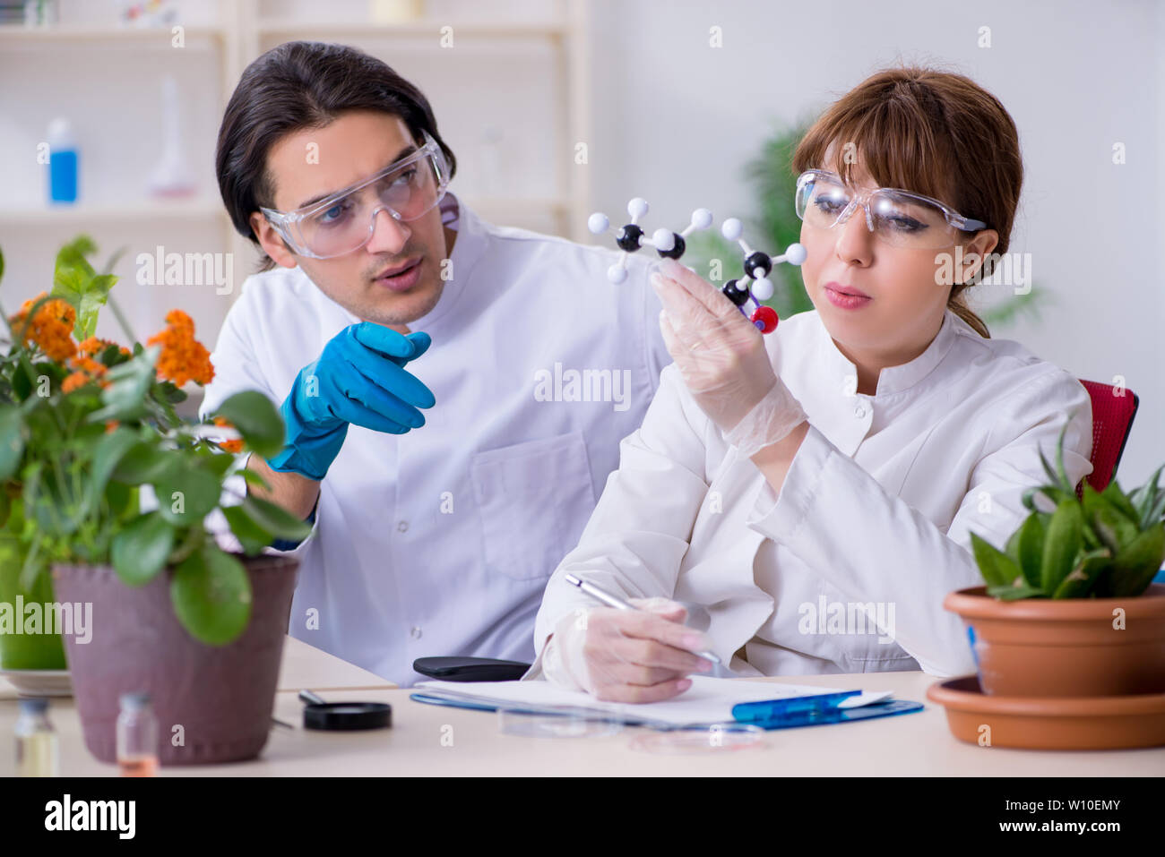 The two young botanist working in the lab Stock Photo - Alamy