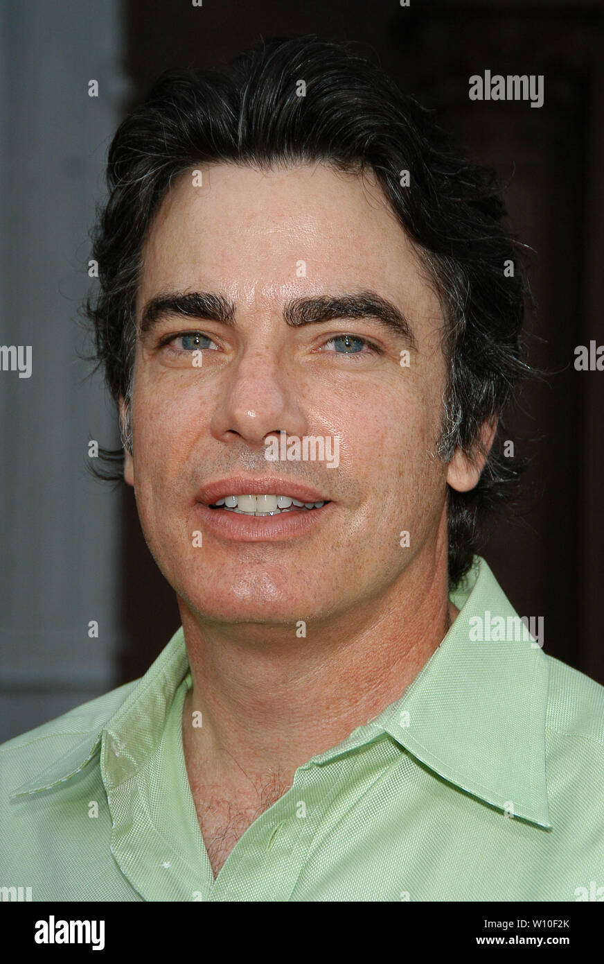 Peter Gallagher at the 2004 Summer TCA Fox All-Star Partyat Fox Studios ...