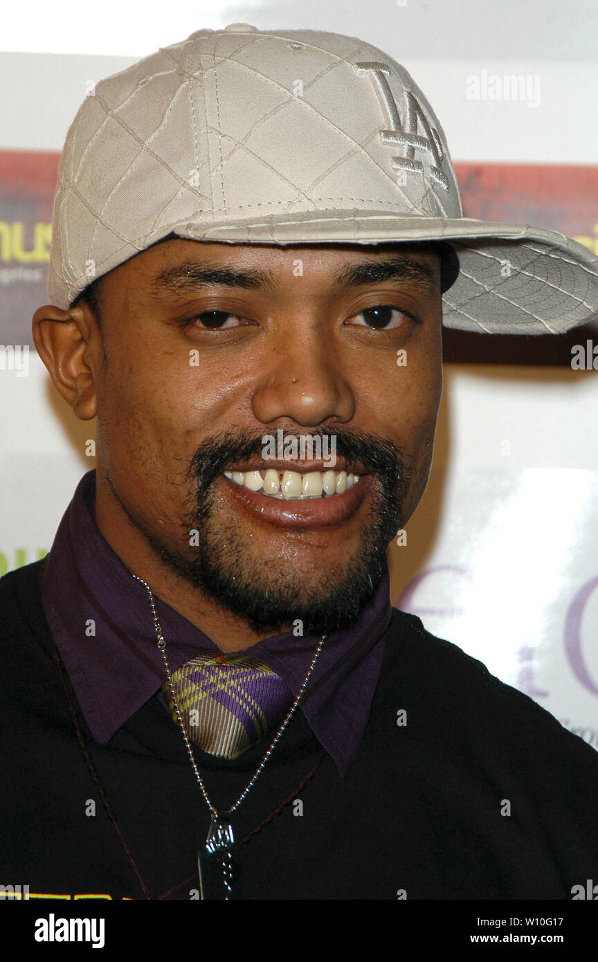 Apl.de.Ap of The Black Eyed Peas at the Black Eyed Peas's Apl.de.Ap ...