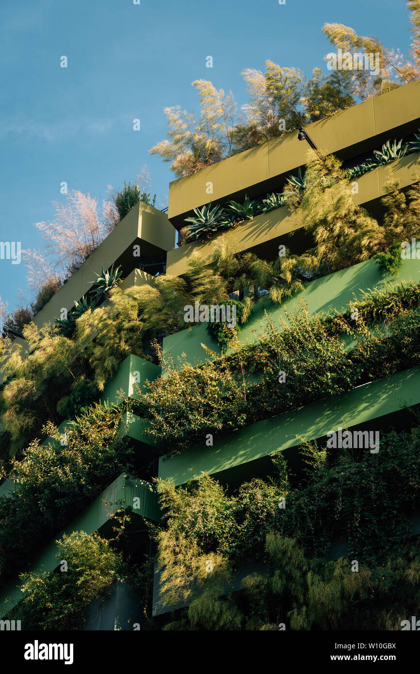 Building foliage in downtown hi-res stock photography and images - Alamy
