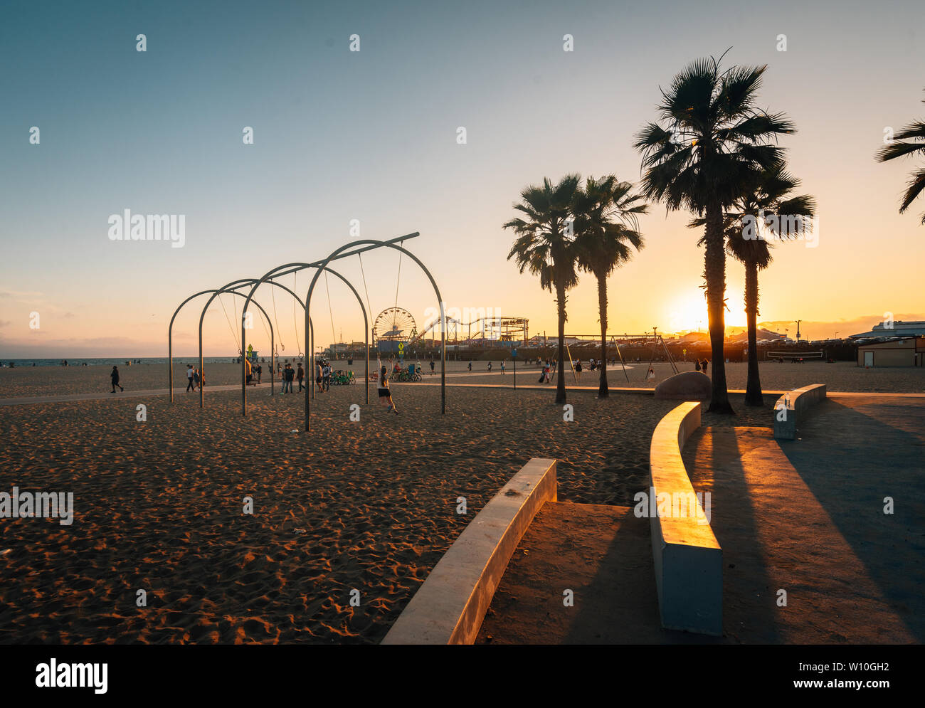 Muscle beach hi-res stock photography and images - Alamy