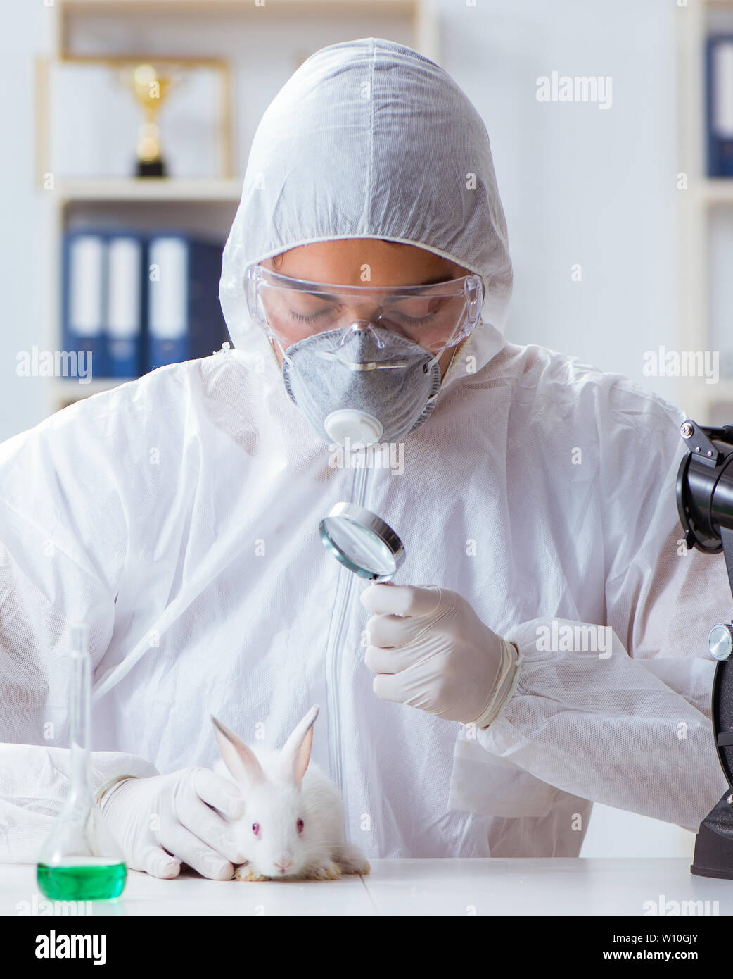 Scientist doing animal experiment in lab with rabbit Stock Photo - Alamy