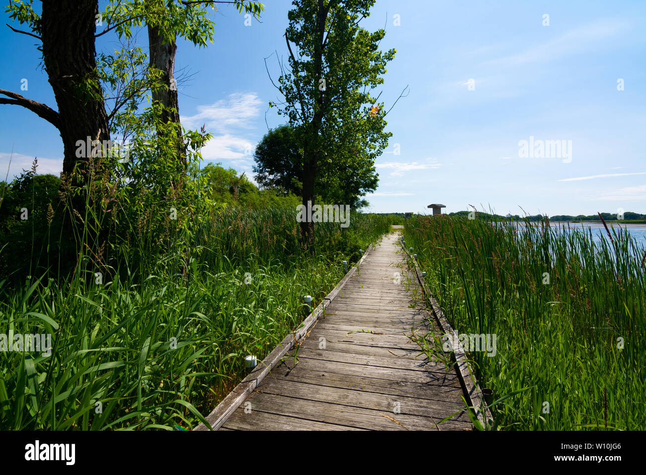 Wooden walkway by the lake. Richard Bong State Recreational Area ...