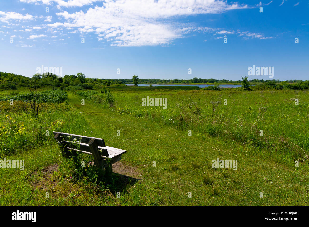 Bench overlooking the landscape at Richard Bong State Recreational Area ...