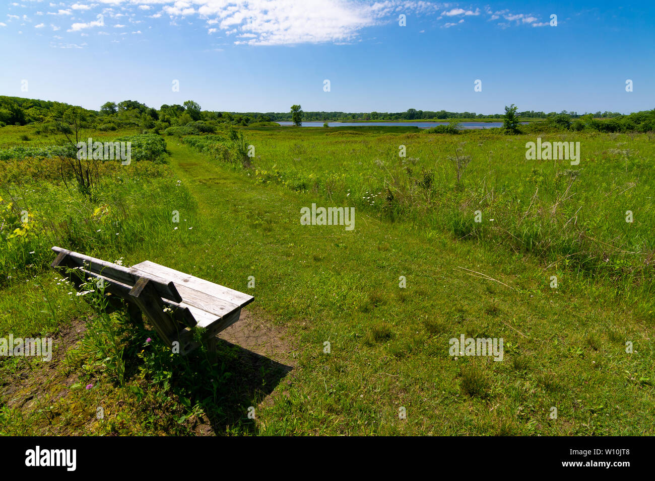Bench overlooking the landscape at Richard Bong State Recreational Area ...