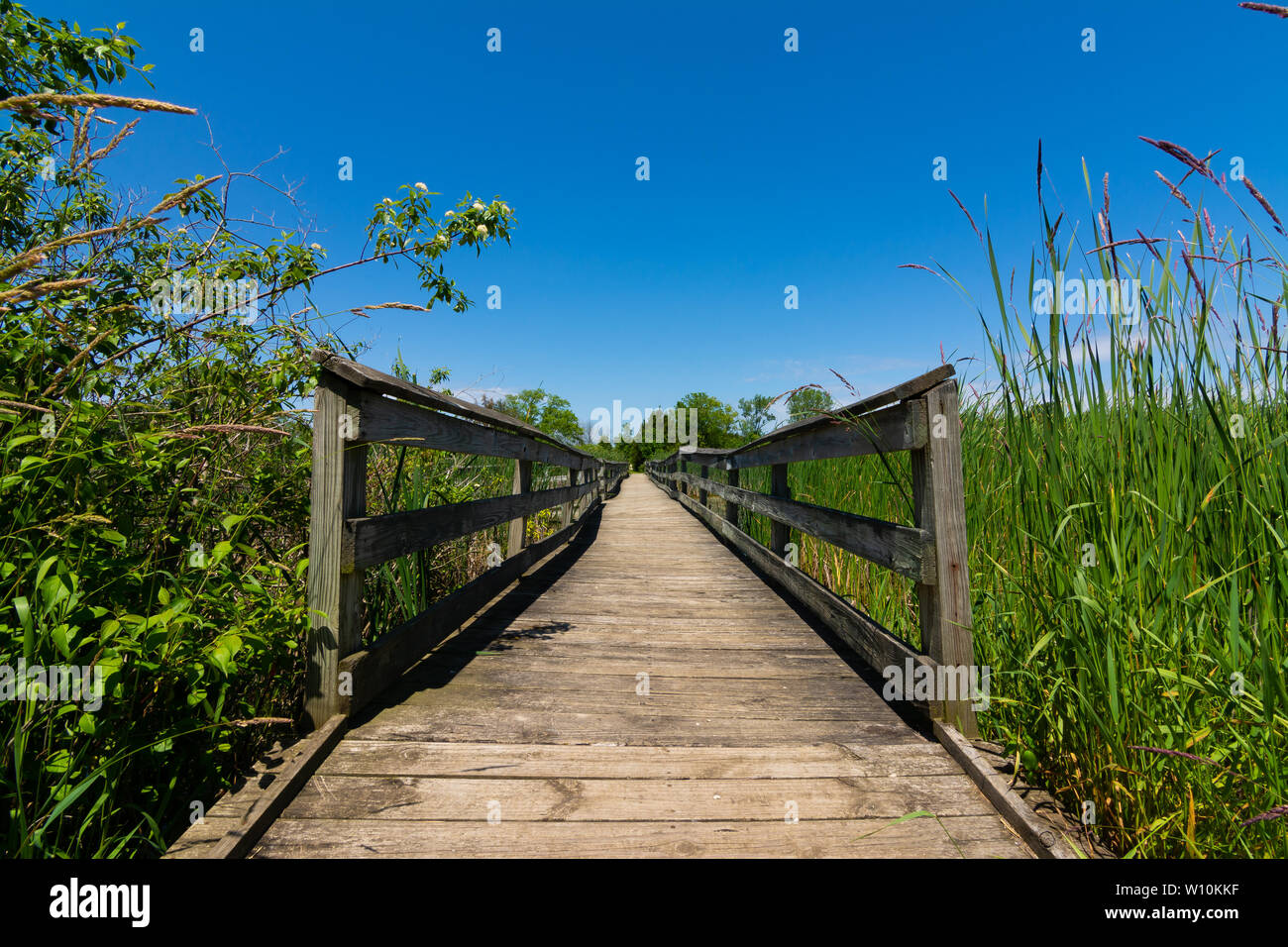 Wooden walkway over pond in Richard Bong State Recreational Area ...