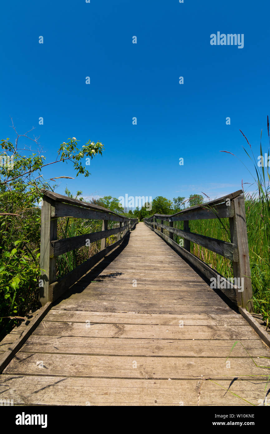 Richard bong state park hi-res stock photography and images - Alamy