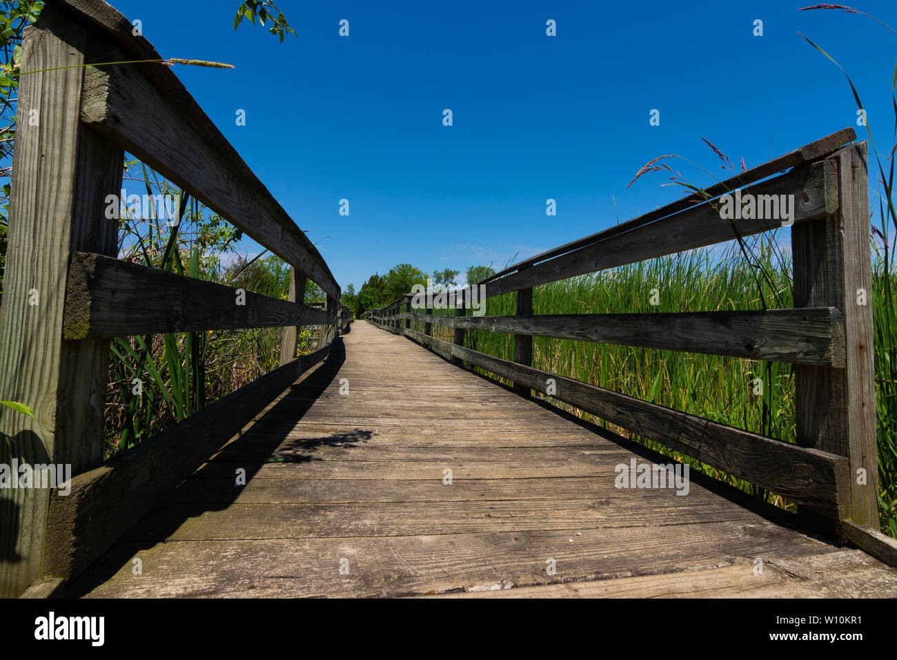 Wooden walkway over pond in Richard Bong State Recreational Area ...