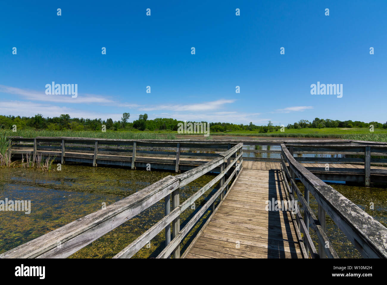 Wooden walkway over pond in Richard Bong State Recreational Area ...