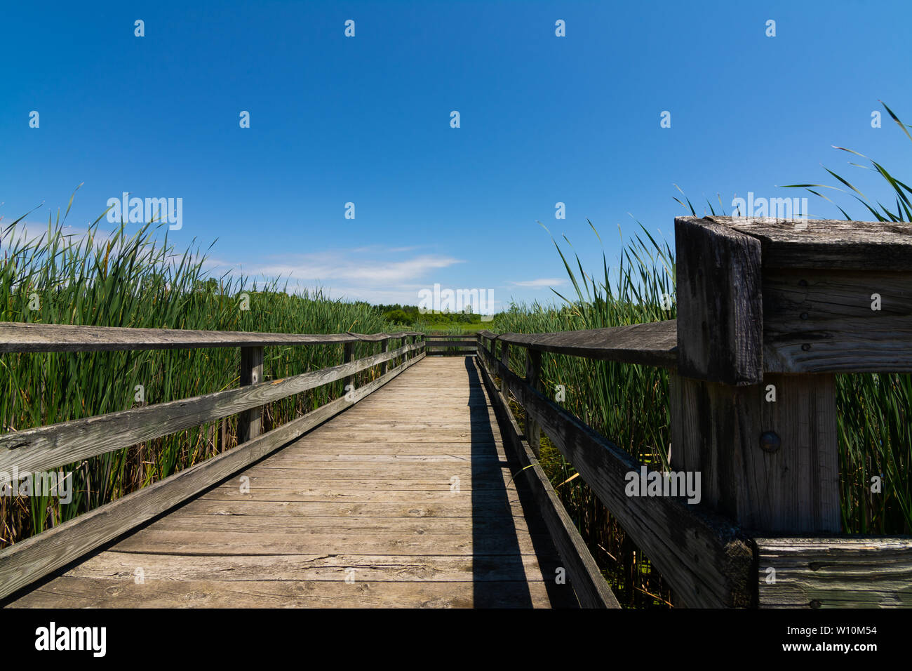 Walkway over pond hi-res stock photography and images - Alamy