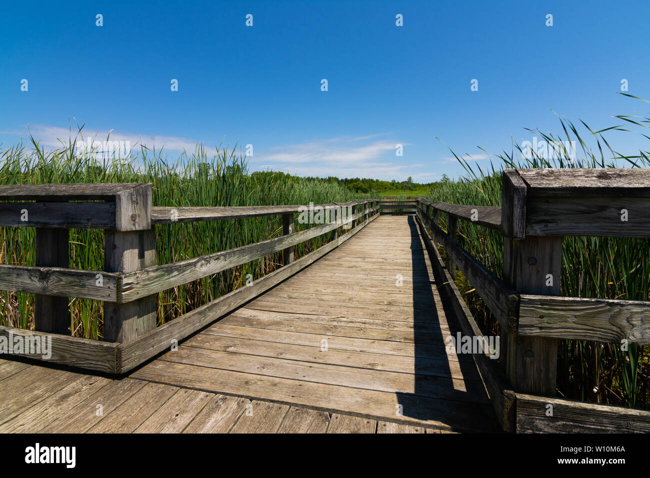 Wooden walkway over pond in Richard Bong State Recreational Area ...