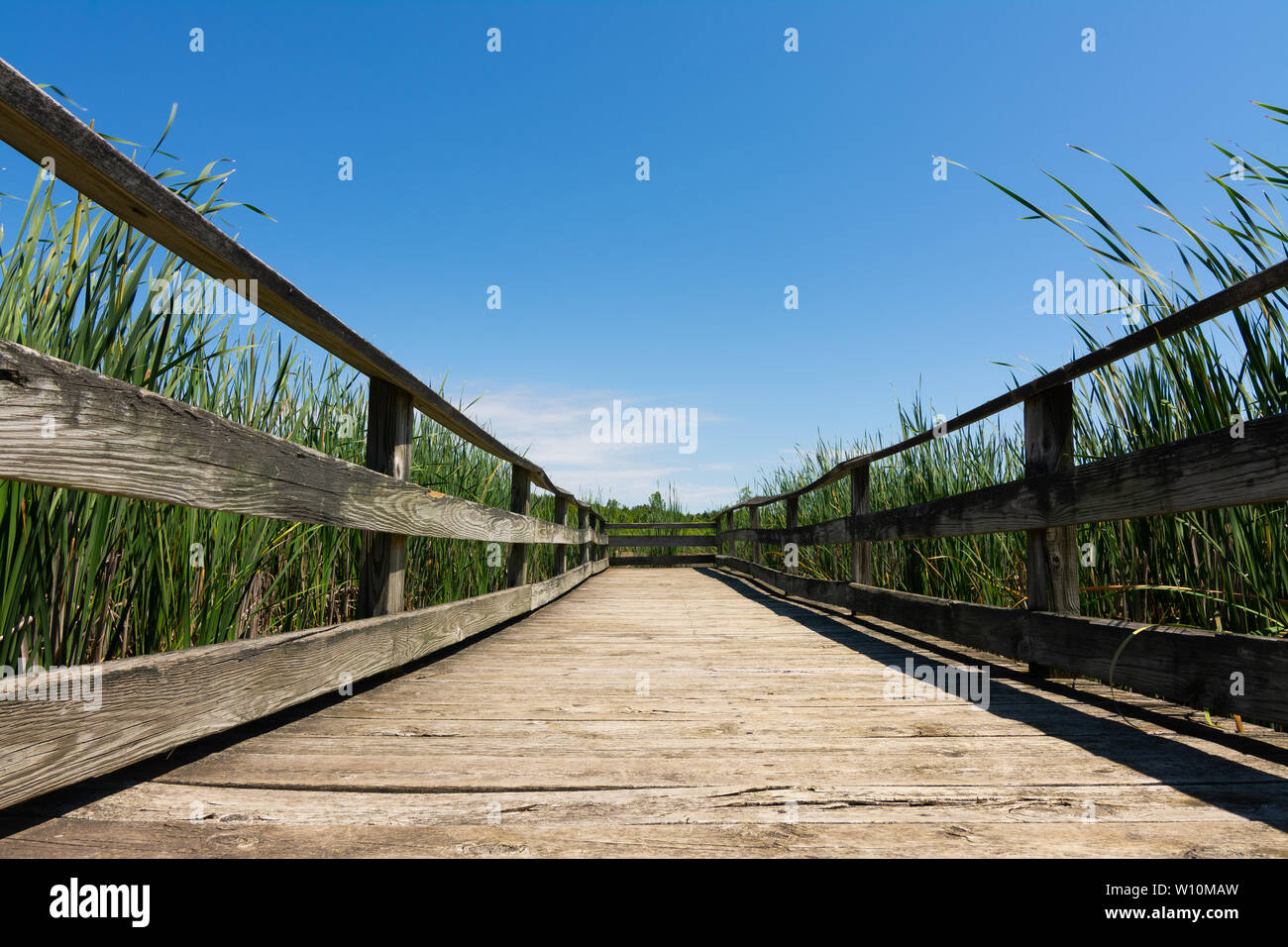 Wooden walkway over pond in Richard Bong State Recreational Area ...