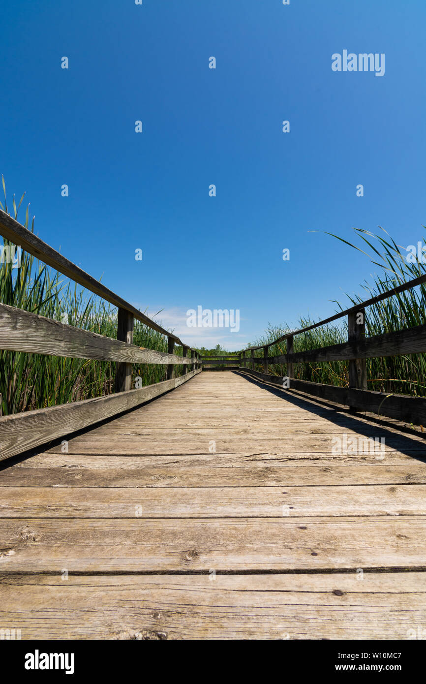 Wooden walkway over pond in Richard Bong State Recreational Area ...