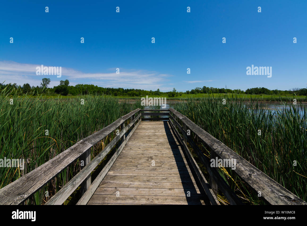 Richard bong state park hi-res stock photography and images - Alamy
