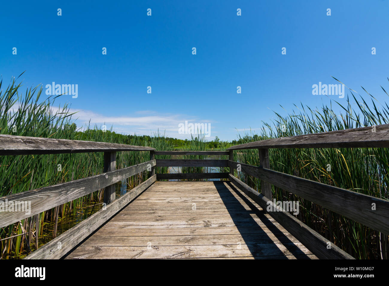 Wooden walkway over pond in Richard Bong State Recreational Area ...