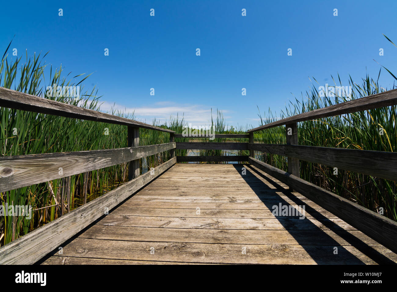 Wooden walkway over pond in Richard Bong State Recreational Area ...