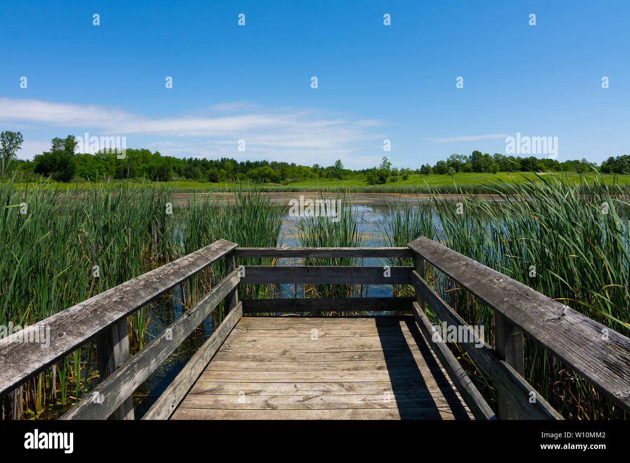 Wooden walkway over pond in Richard Bong State Recreational Area ...