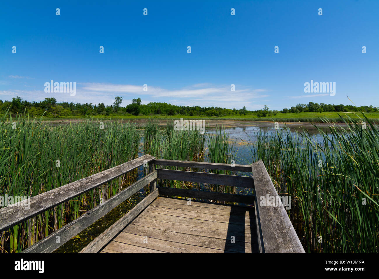Wooden walkway over pond in Richard Bong State Recreational Area ...