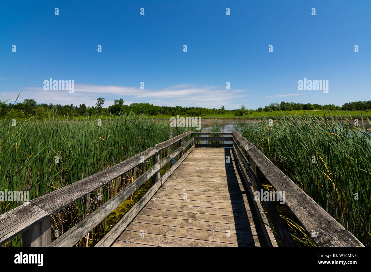 Wooden walkway over pond in Richard Bong State Recreational Area ...