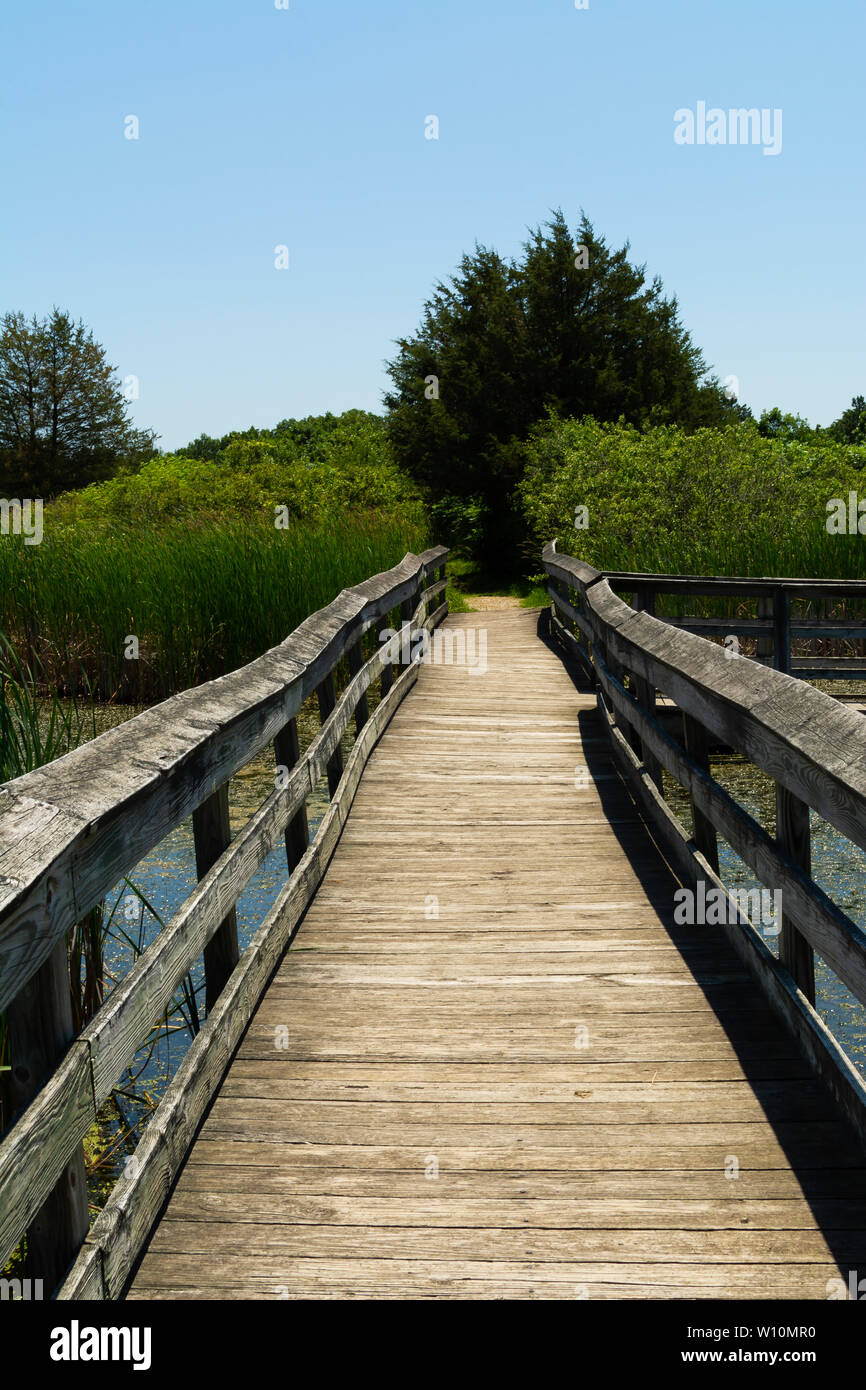 Natural bridge state park wisconsin hi-res stock photography and images ...