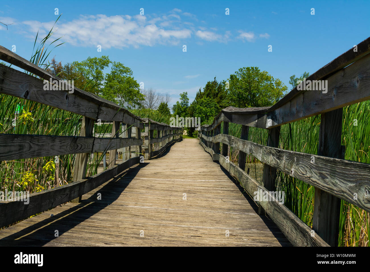 Wooden walkway over pond in Richard Bong State Recreational Area ...