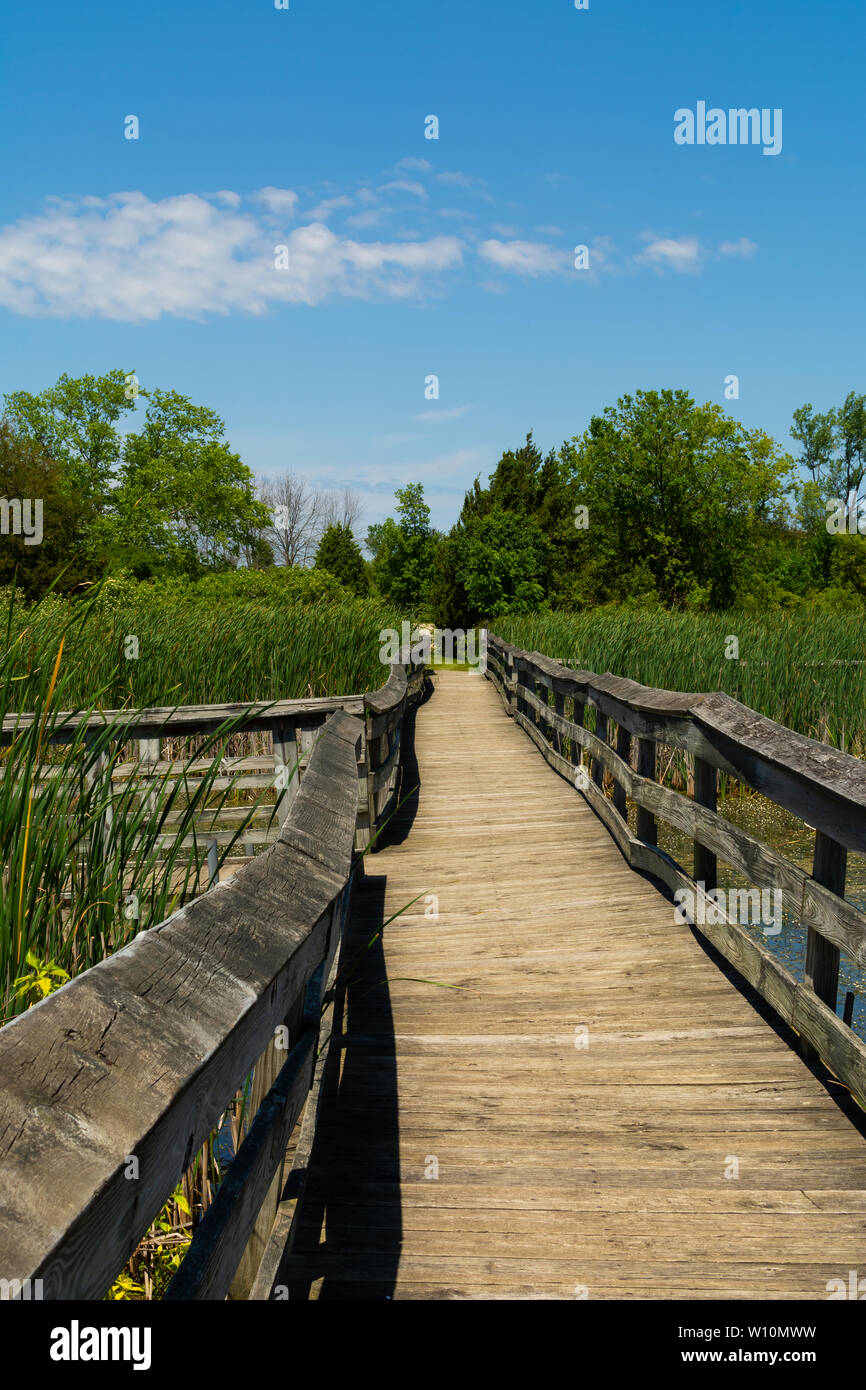 Richard bong state park hi-res stock photography and images - Alamy