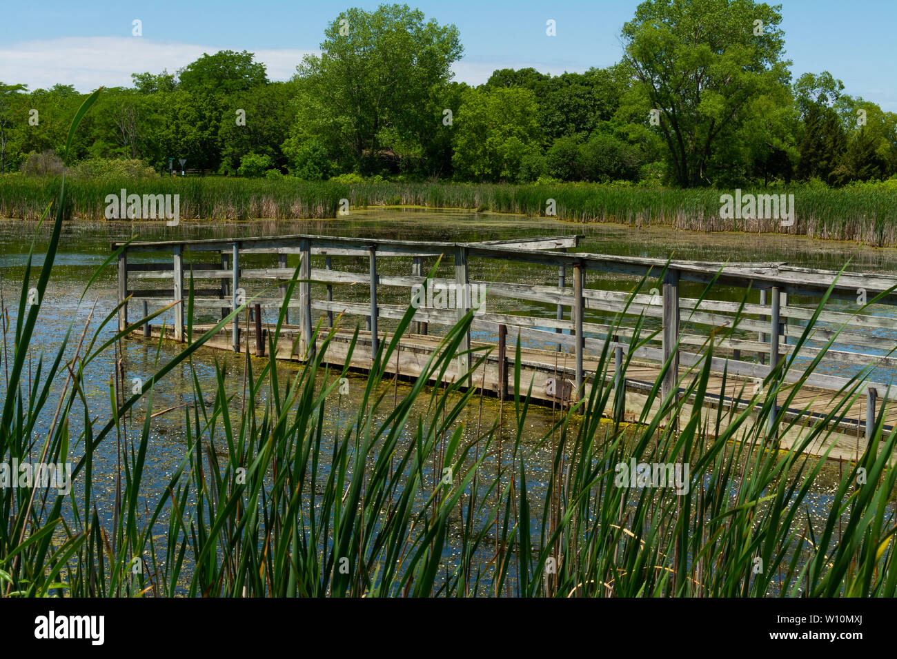 Wooden walkway over pond in Richard Bong State Recreational Area ...