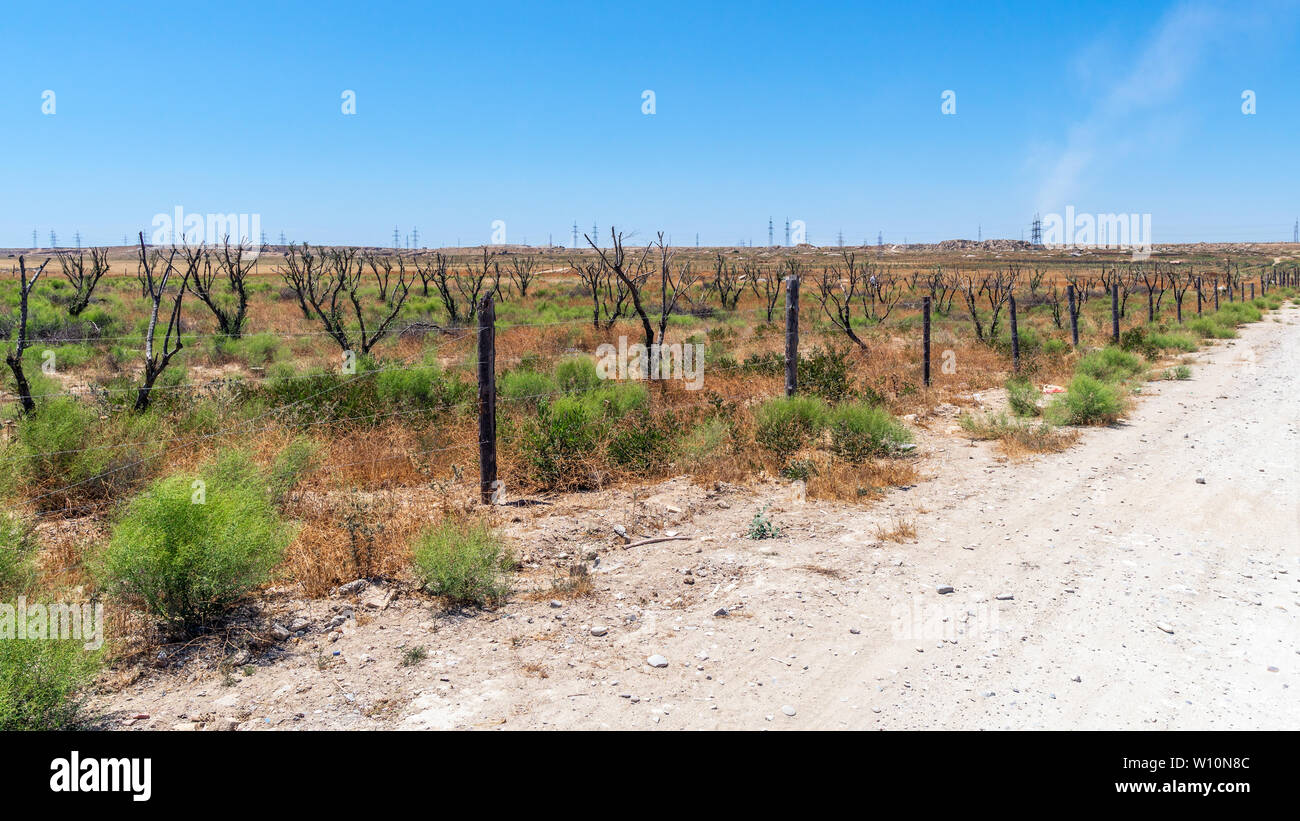 Arid climates hi-res stock photography and images - Alamy