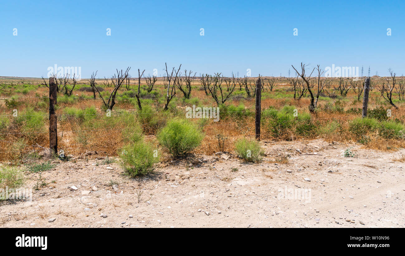 Arid climates hi-res stock photography and images - Alamy