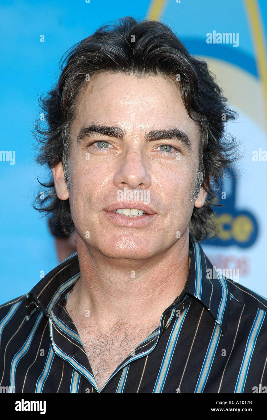 Peter Gallagher at The 2004 Teen Choice Awards - Arrivals held at the ...