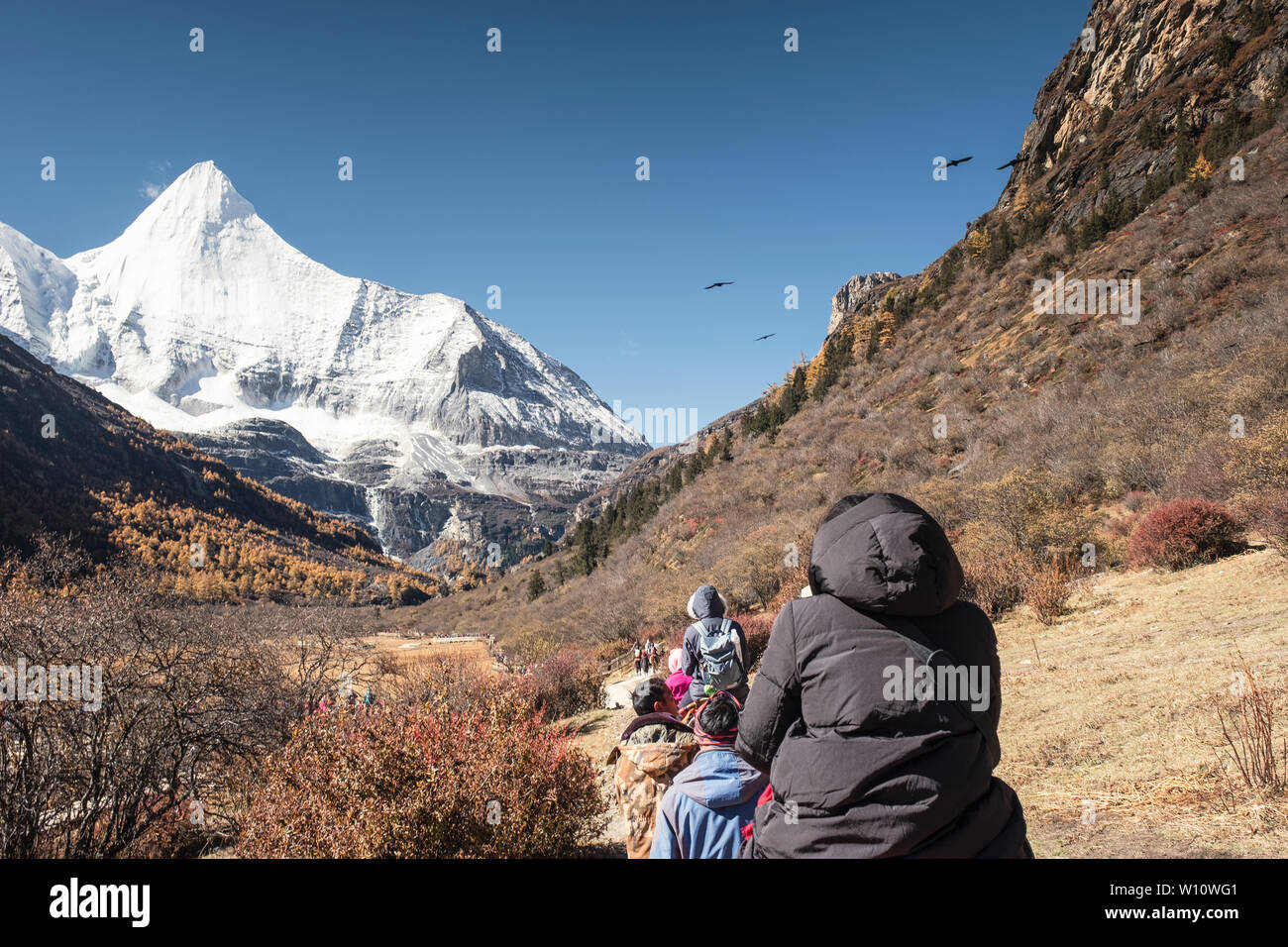Daocheng, China - Oct 23 2018 : Tourists riding horse into holy valley ...