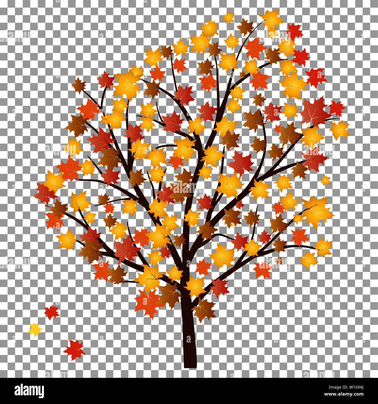 Autumn maples tree with falling leaves. Vector illustration Stock ...