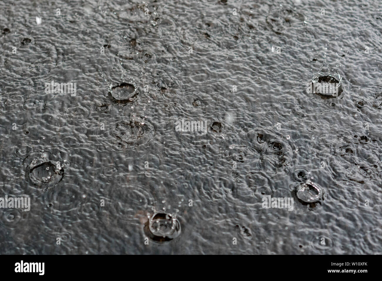 rain gray background. Drops on a puddle Stock Photo - Alamy