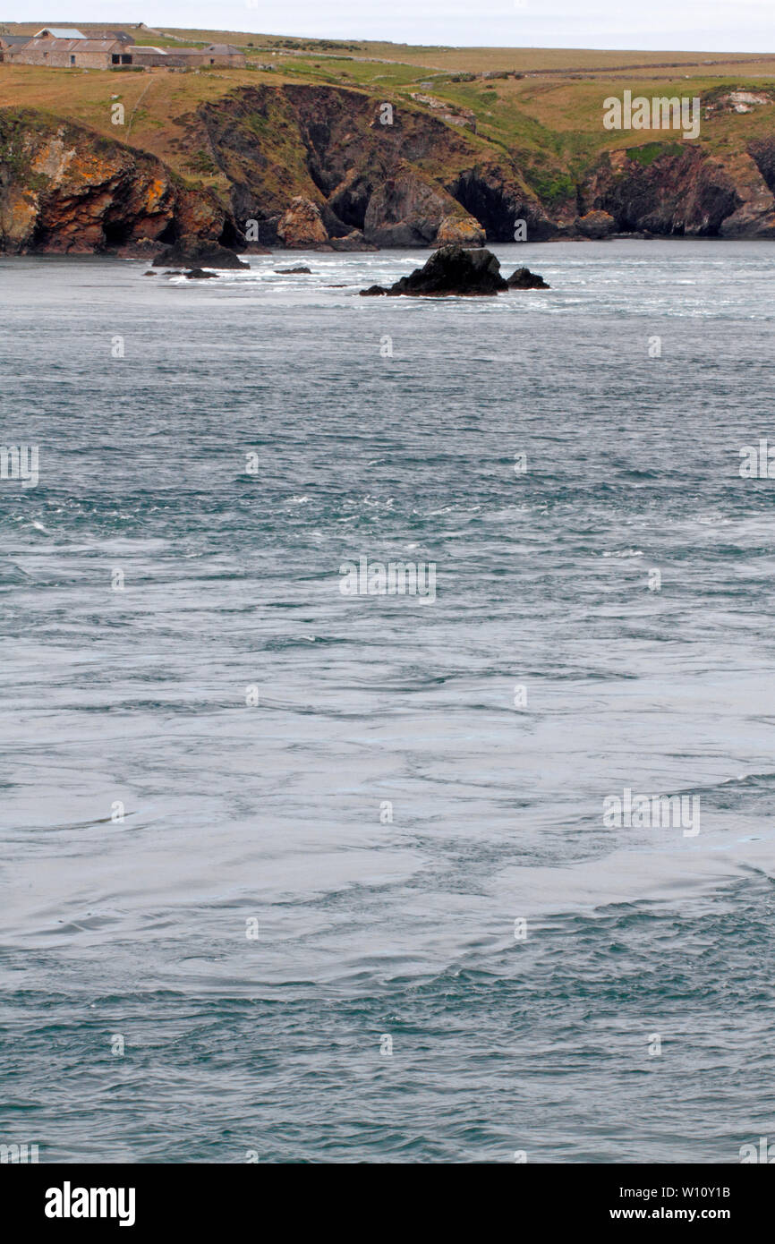 The Bitches, a series of rocks by Ramsey Island in Ramsey Sound from ...