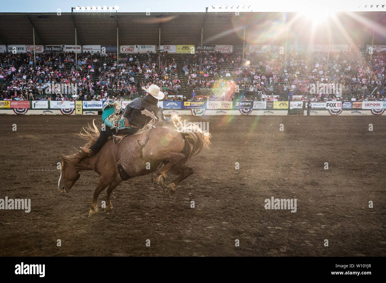 Bareback Bronc Riding High Resolution Stock Photography and Images - Alamy