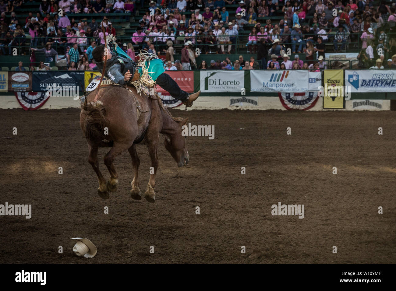 Bareback Bronc Riding High Resolution Stock Photography and Images - Alamy