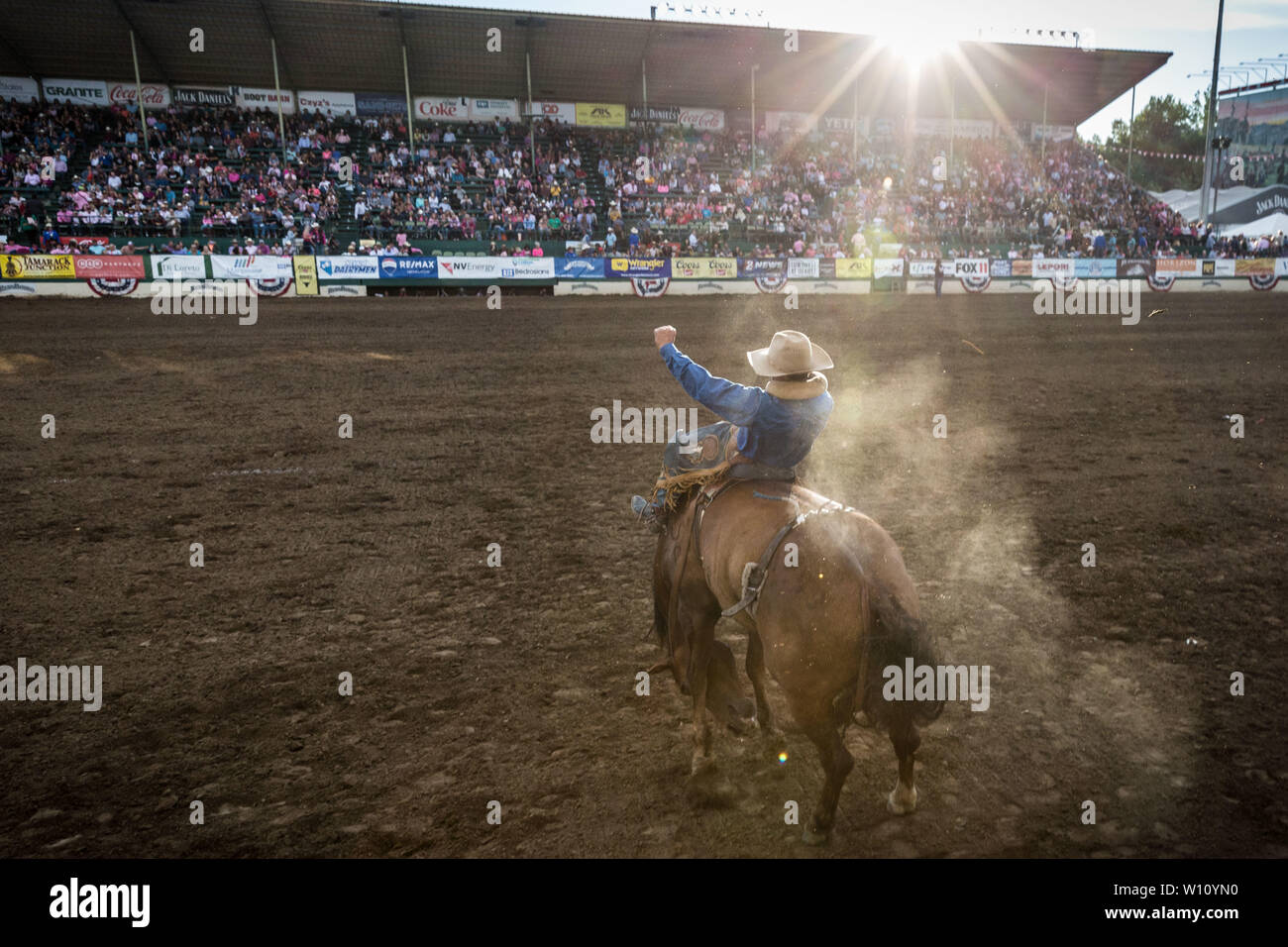 Bareback Bronc Riding High Resolution Stock Photography and Images - Alamy