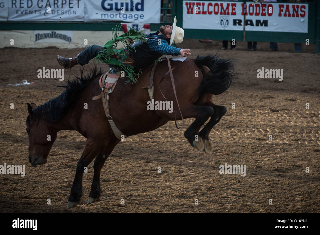 Bareback Bronc Riding High Resolution Stock Photography and Images - Alamy