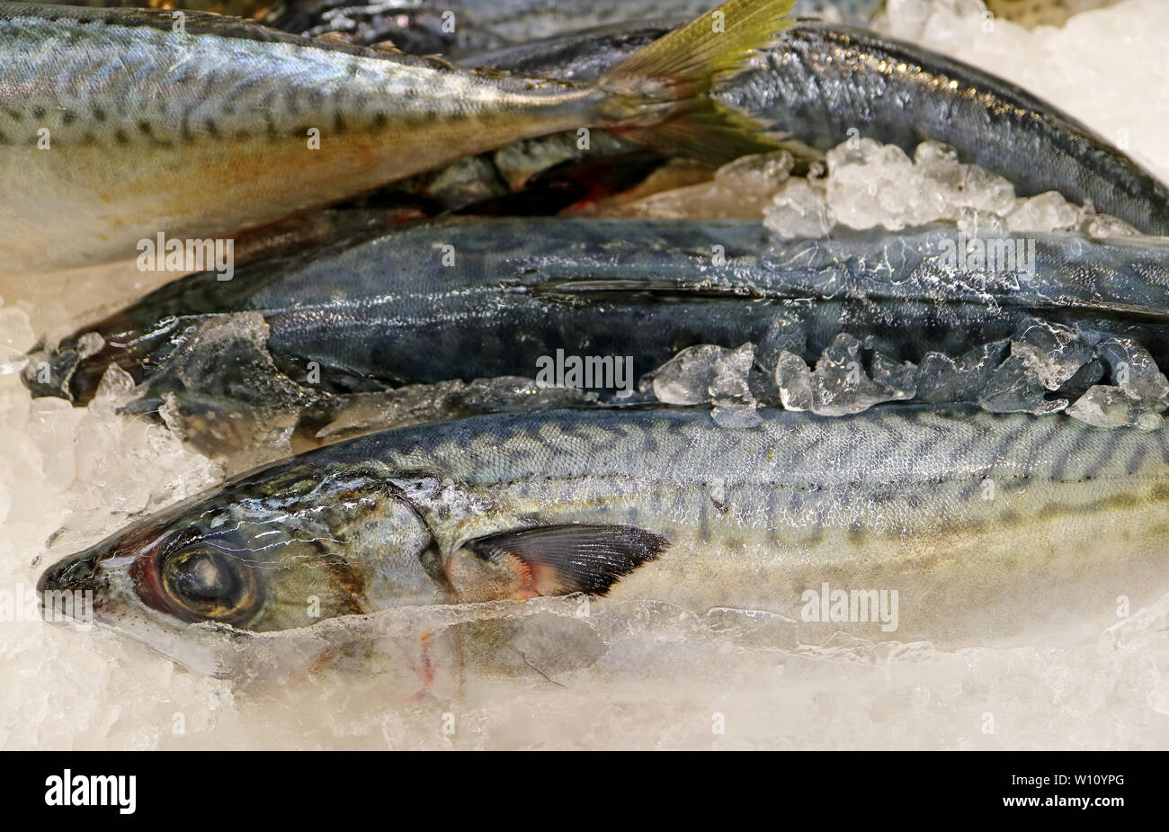 Seafood fish freshness acids hi-res stock photography and images - Alamy
