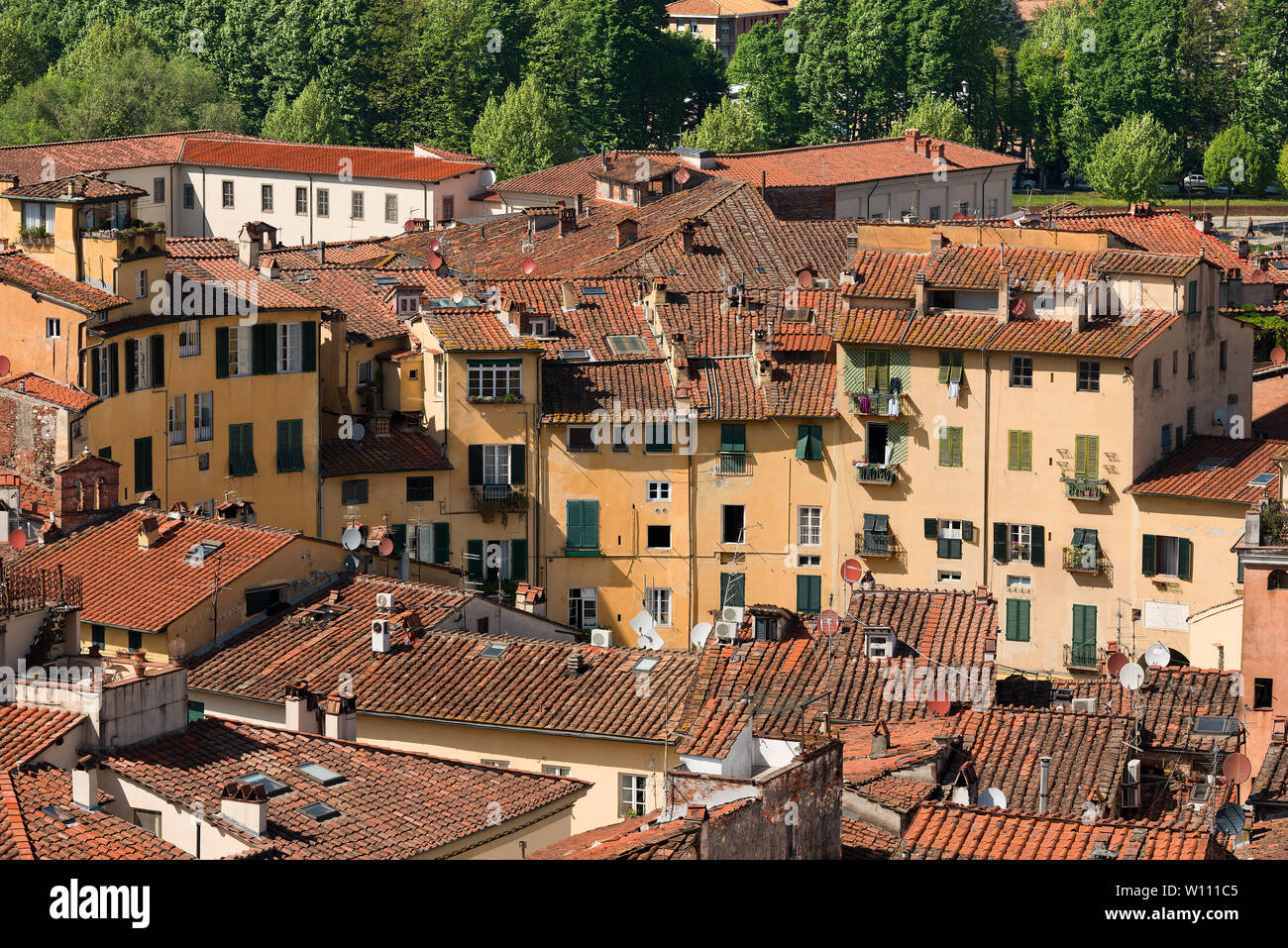 Historic buildings in Piazza dell'Anfiteatro (Amphitheater Square ...