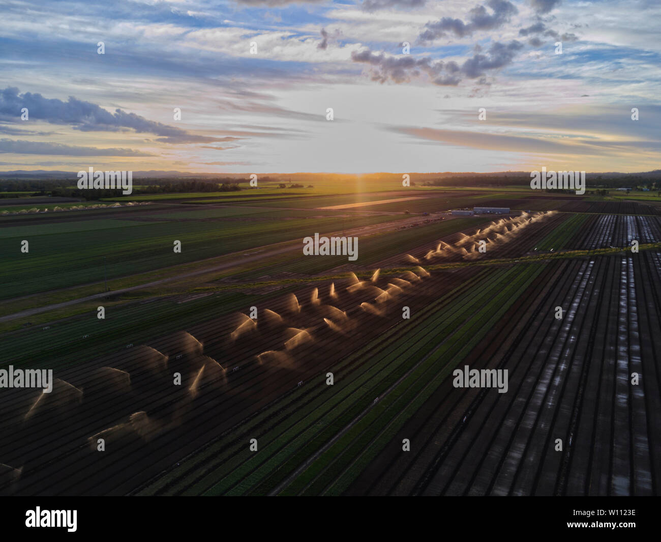 Aerial of irrigation system on a lettuce salad farm (Dicky Bill) at ...